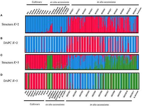 Frontiers Genetic Distinctiveness Of Rye In Situ Accessions From