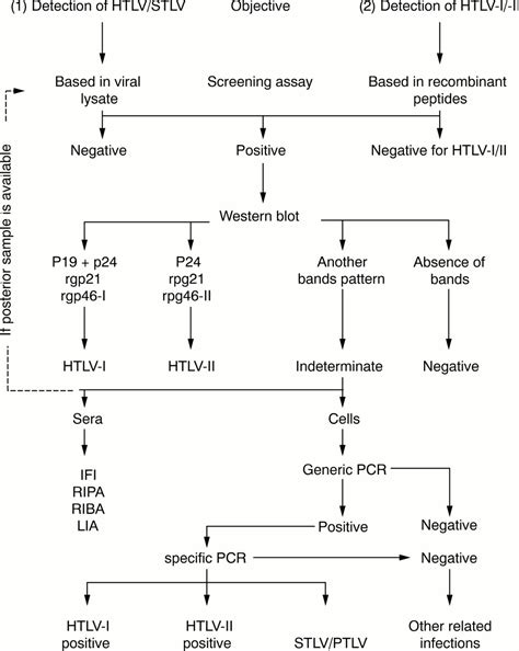 Prevalence Of Htlv Infection In Pregnant Women In Spain Sexually