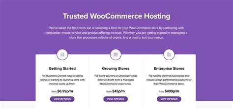 The Definitive Guide To WooCommerce Security