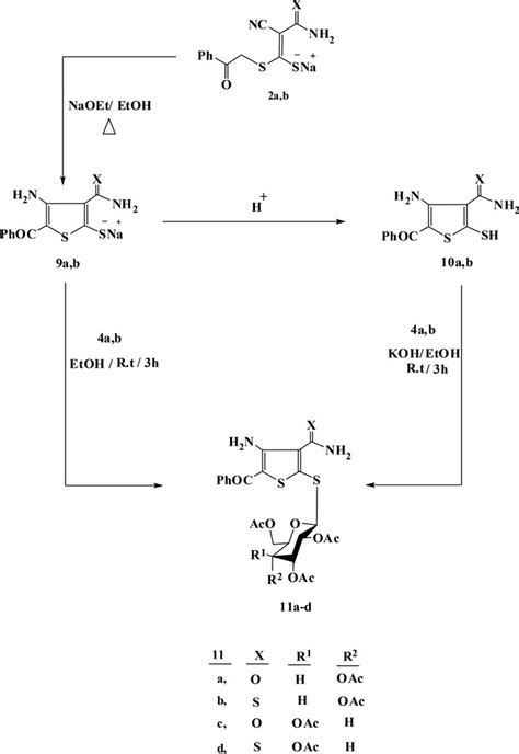 Scheme Synthetic Pathways For Thiophene Thioglycosides A D
