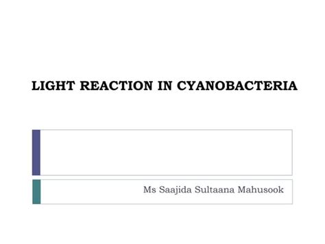 Photosynthetic Bacteria Oxygenic And Anoxygenic Pptx