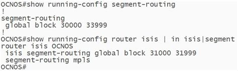 segment routing到底是个啥？ csdn博客