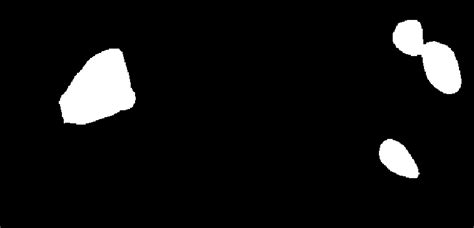 Train On Custom Dataset · Issue 47 · Swintransformer Swin Transformer Semantic Segmentation