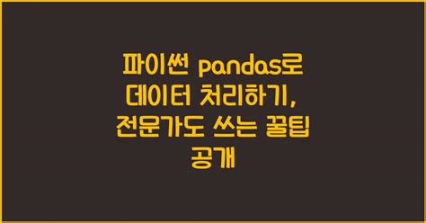 파이썬 Pandas로 데이터 처리하기 전문가도 쓰는 꿀팁 공개