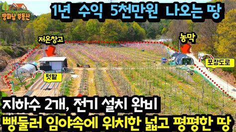 1년 농사 5천 만원 이상 수익 나오는 토지매매 전기 지하수 농막 쉼터 저온창고 모두 드립니다 뺑 둘러 산속 넓고 평평한 땅