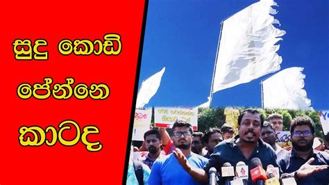 Mojonewslk සුදු කොඩි පේන්නේ කාටද Youtube