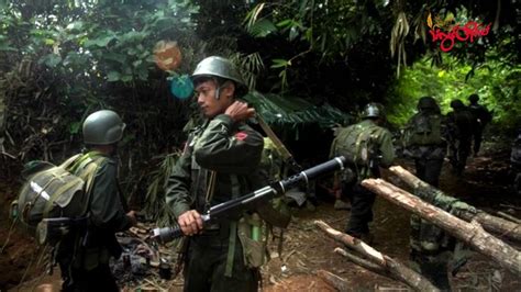 Tlt Tv ပ္ဍဲတွဵုရးကချေၚ် ပေါဲဗ္တိုက် သ္ကာတ်မြဟ်ဒၟံၚ် Youtube