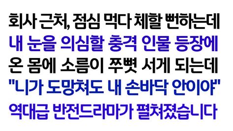 실화사연 회사 근처 점심 먹다 체할 뻔하는데 내 눈을 의심할 충격인물 등장에 온 몸에 소름이 쭈뼛 서게 되는데 역대급 반전드라마가 펼쳐졌습니다ㅣ라디오드라마ㅣ사이다사연ㅣ