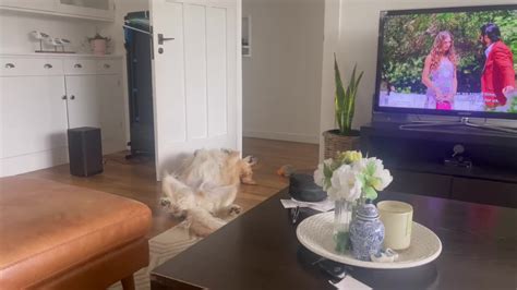 Hello Linkedin Its Been A While And I Felt That It Was Appropriate To… Aarti Patel