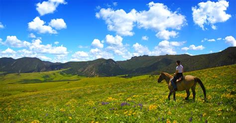 Hf Bar Ranch In Saddlestring Wy Lodge And Ranch Deals