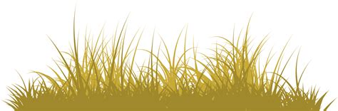 Grass Png Wild Grass Isolated 16583610 Png