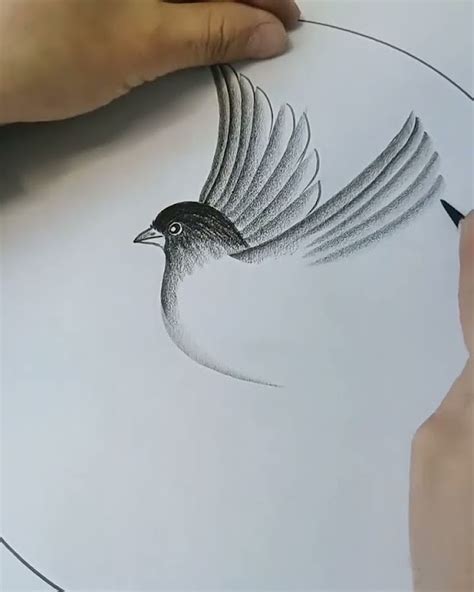 رسم حمامة بالقلم الرصاص Youtube