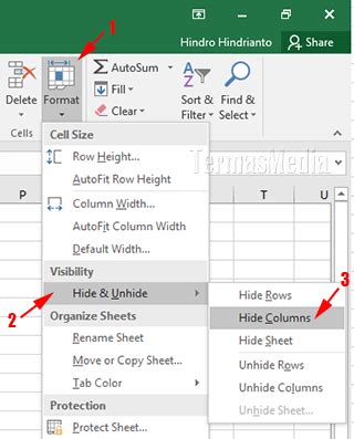 Cara Menyembunyikan Kolom Atau Baris Di Microsoft Excel