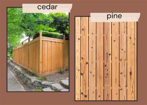Is My Fence Cedar Or Pine Your Quick Id Guide
