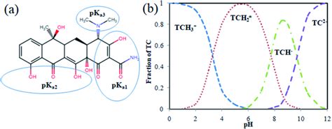 A TC Structure B TC Speciation Diagram Download Scientific Diagram