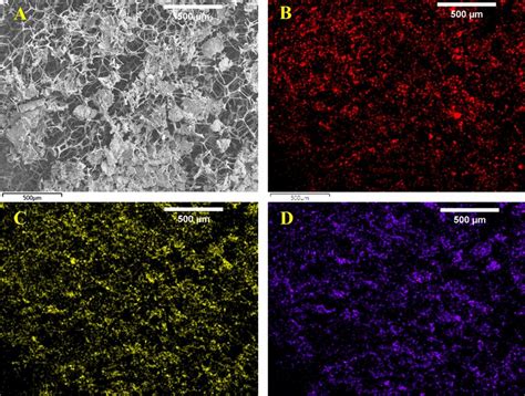 Sem Image A And Eds Mapping Of The Cross Sectional View Of Download Scientific Diagram