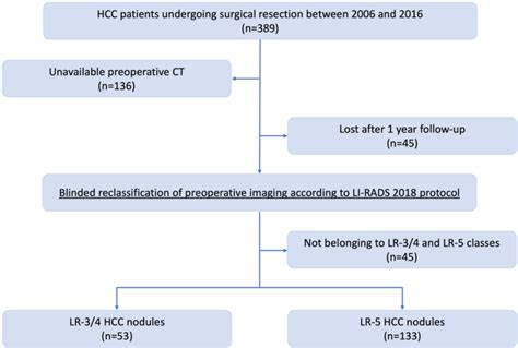 Figure 1 From From Li Rads Classification To Hcc Pathology A Retrospective Single Institution