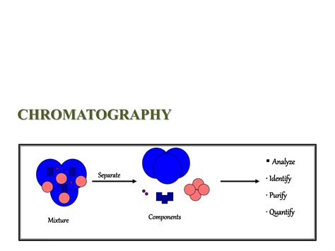 Basics Of Chromatography Ppt