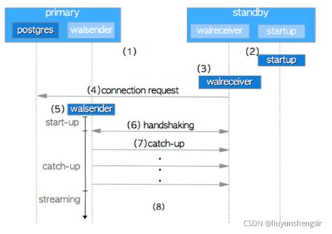 Postgresql的主从架构 流复制核心原理postgre主从原理 Csdn博客