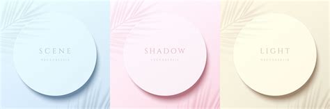 파란색 분홍색 노란색 베이지 색 원 세트는 야자 잎 그림자 오버레이가있는 보드 배경입니다 상단보기 라운드 프레임 디자인 제품 디스플레이 또는 텍스트 공간을위한 추상적 인