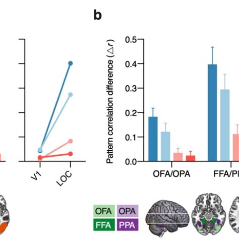Category Information Across Regions In Visual Cortex Multi Voxel
