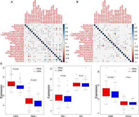 Correlation Between Immune Infiltration And Risk Score Correlation Download Scientific Diagram