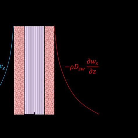 Convective And Diffusive Fluxes In The Concentration Boundary Layer