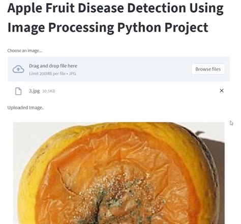 Apple Fruit Disease Detection Using Image Processing Python Project