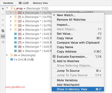CLion教程 内存视图