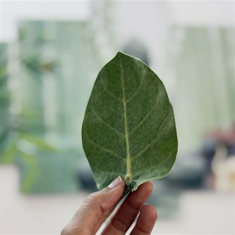 Drkrishna Joshi Youtube