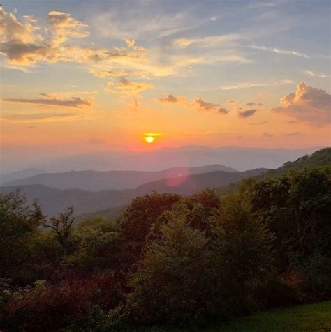 Treee Forest And Woods Image On Favim Com