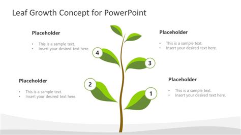 Leaf Growth Concept Ppt Template Slidemodel