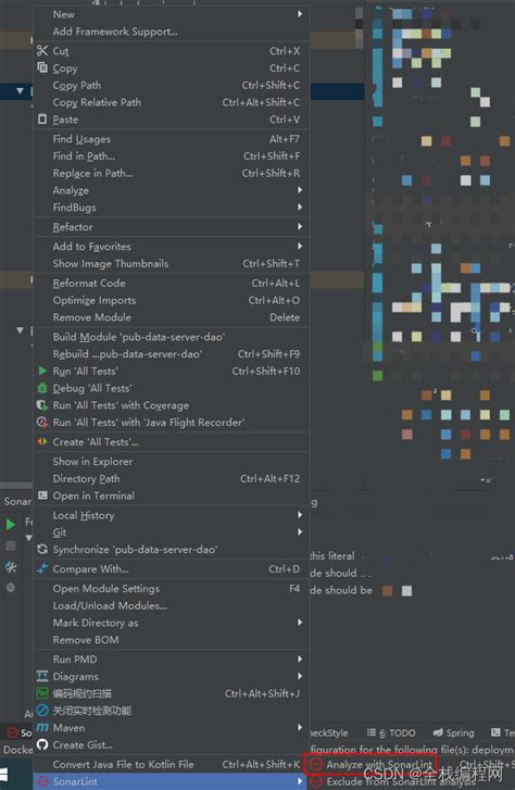 Idea插件 Sonaridea Sonar插件 Csdn博客