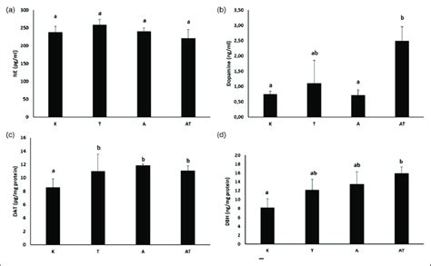 Norepinephrine Dopamine Dopamine Transporter Protein And Dopamine Download Scientific Diagram