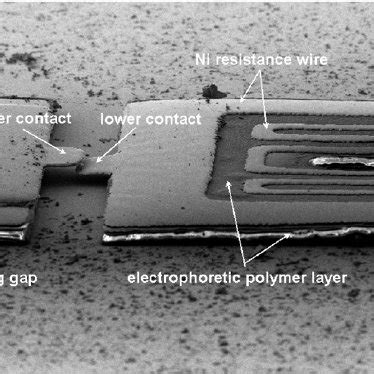 SEM Micrograph Of The Fabricated Micro Switch Download Scientific Diagram
