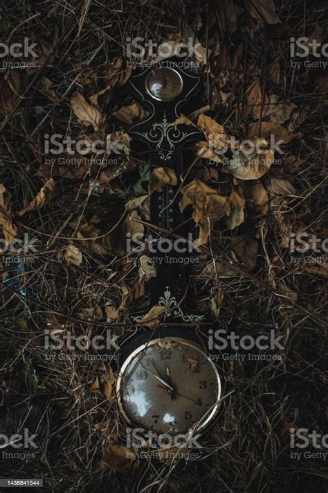 마른 나뭇가지와 나뭇잎 사이에 있는 빈티지 나침반과 시계의 상위 뷰 0명에 대한 스톡 사진 및 기타 이미지 0명 건조한 벽 시계 Istock