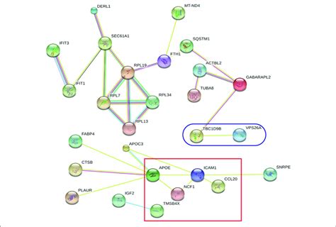 String Analysis Revealing 27 Interaction Partners Of The