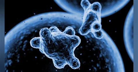 Mutating Bacteria A Key To Antibiotic Resistance Healthcare
