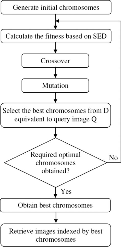 Ga Based Similarity Measure For The Proposed Cbir Technique Download Scientific Diagram