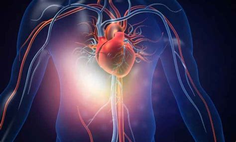 هایپرتروفی پاتولوژیک و فیزیولوژیک قلب جی فیت Jeyfit