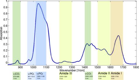 Representative Ftir Spectrum Of Human Cortical Bone With The