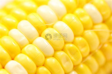 玉米芯特写高清图片下载 正版图片507119500 摄图网