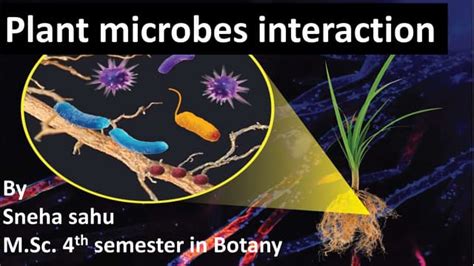 Plant Microbes Interactionpptx