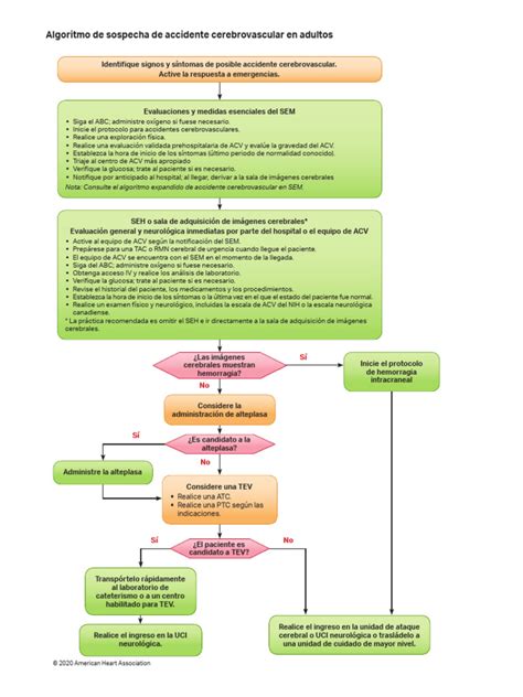 Algorithm Acls Suspected Stroke 200612 Pdf Carrera Neurología