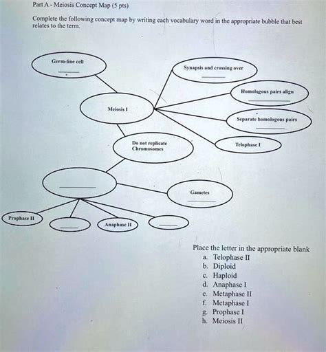 Part A Meiosis Concept Map 5 Pts Complete The Following Concept Map By Writing Cach Vocabulary