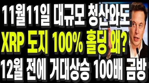 비트코인 리플 도지코인 이더리움 11월11일 대규모 청산와도 Xrp 도지 100 홀딩 왜 12월 전에 거대상승 100배 금방 Youtube