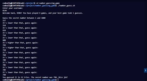 Number Guessing Game Build A Number Guessing Game Backend