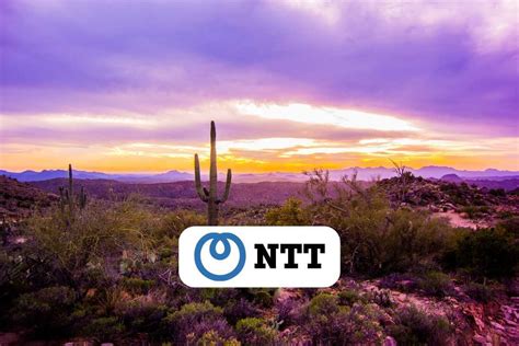 ntt expands global ip network with new pop in phoenix