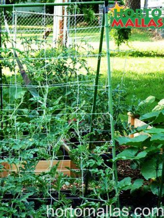 How To Use Trellis Netting In The Garden For Desired Plantation