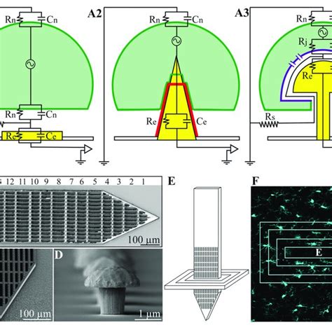 A Passive Analog Electrical Circuit Models Depicting The Structural Download Scientific